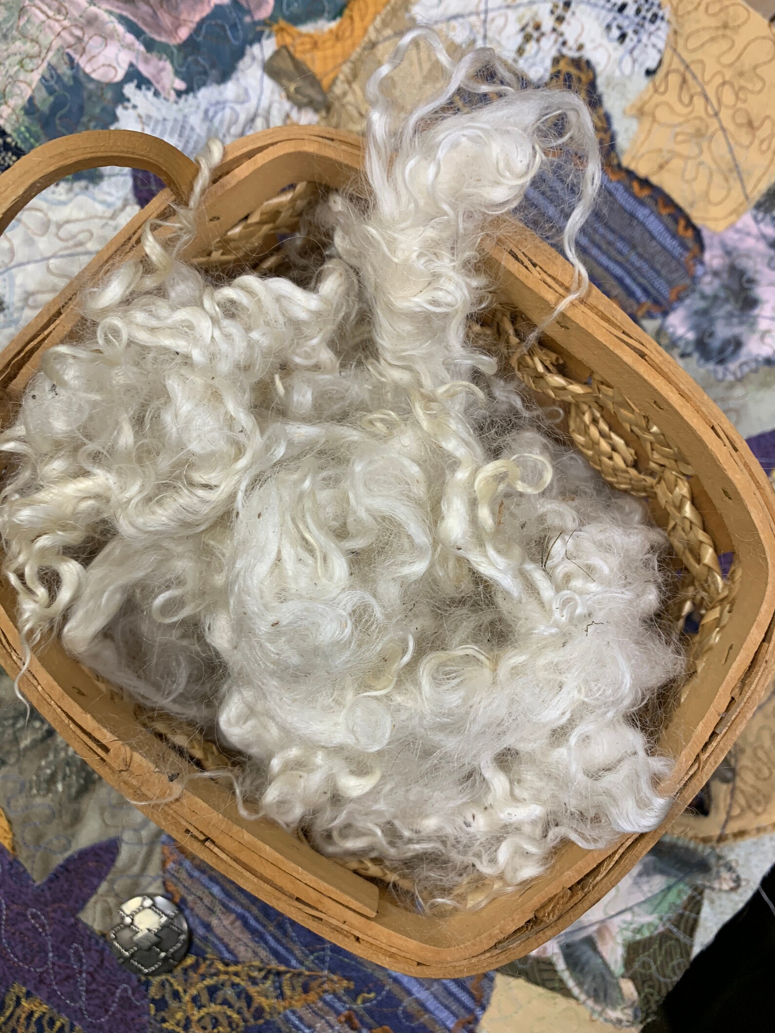 White Mohair 2 Ounces Angora Goat Fiber 4 Inches | Etsy
