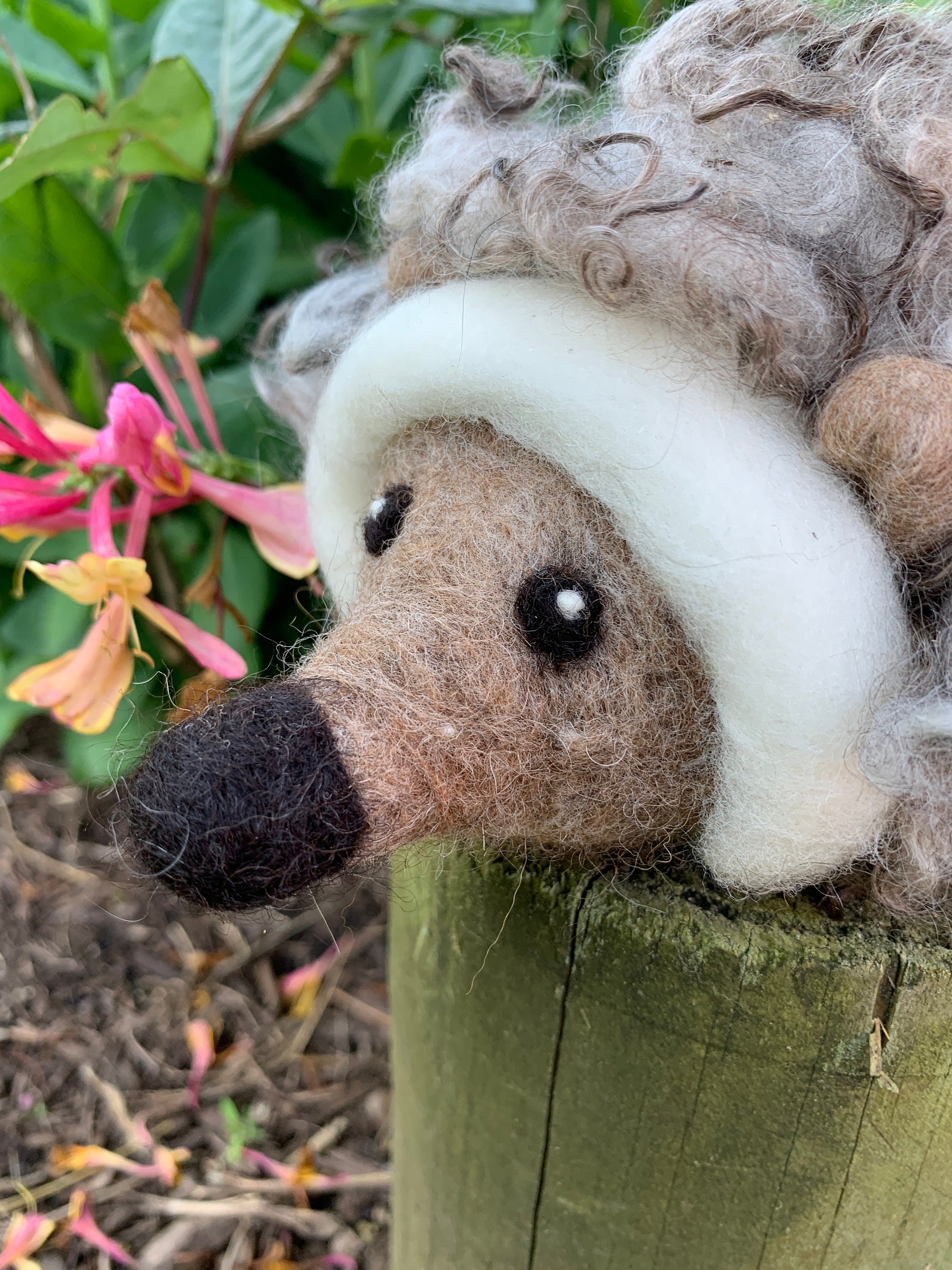 Hedgehog Felting Kit Needle Felting Kit DIY Craft Kit | Etsy