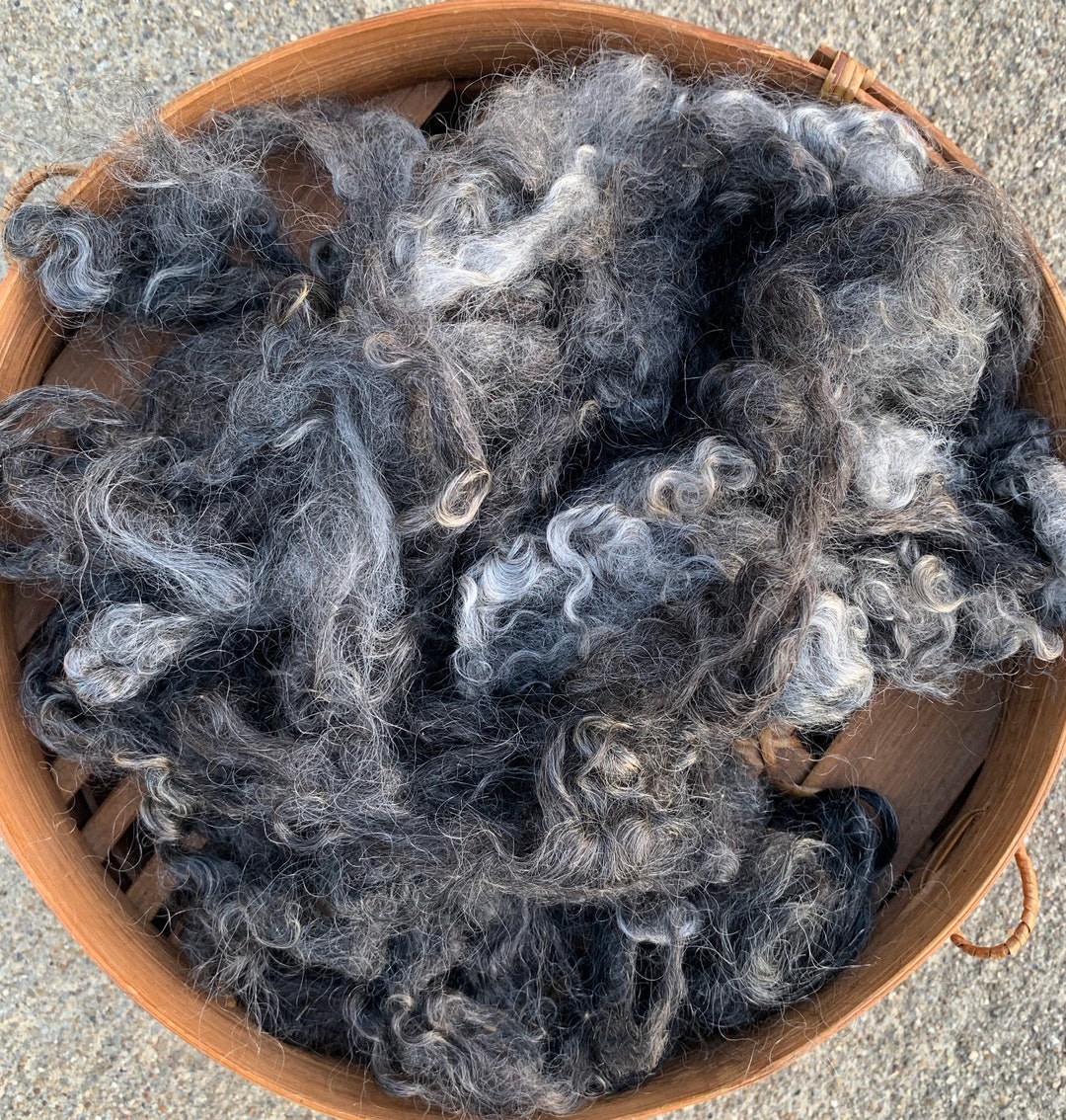 Mohair, Angora Goat Fiber, 2 Ounces, Charcoal Silver Fiber, 4 Inches ...