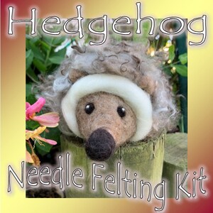 Hedgehog Felting Kit, Needle Felting Kit, DIY Craft Kit - Etsy