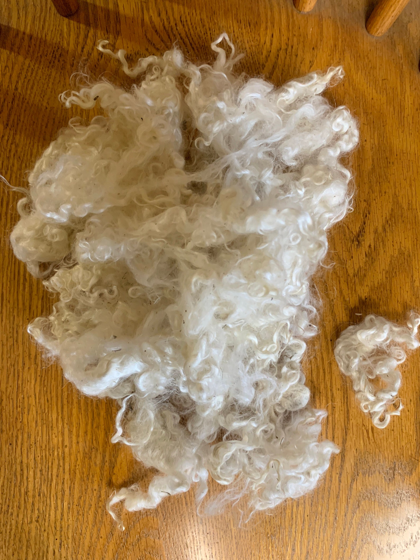 White Mohair 2 Ounces Angora Goat Fiber 4 Inches | Etsy