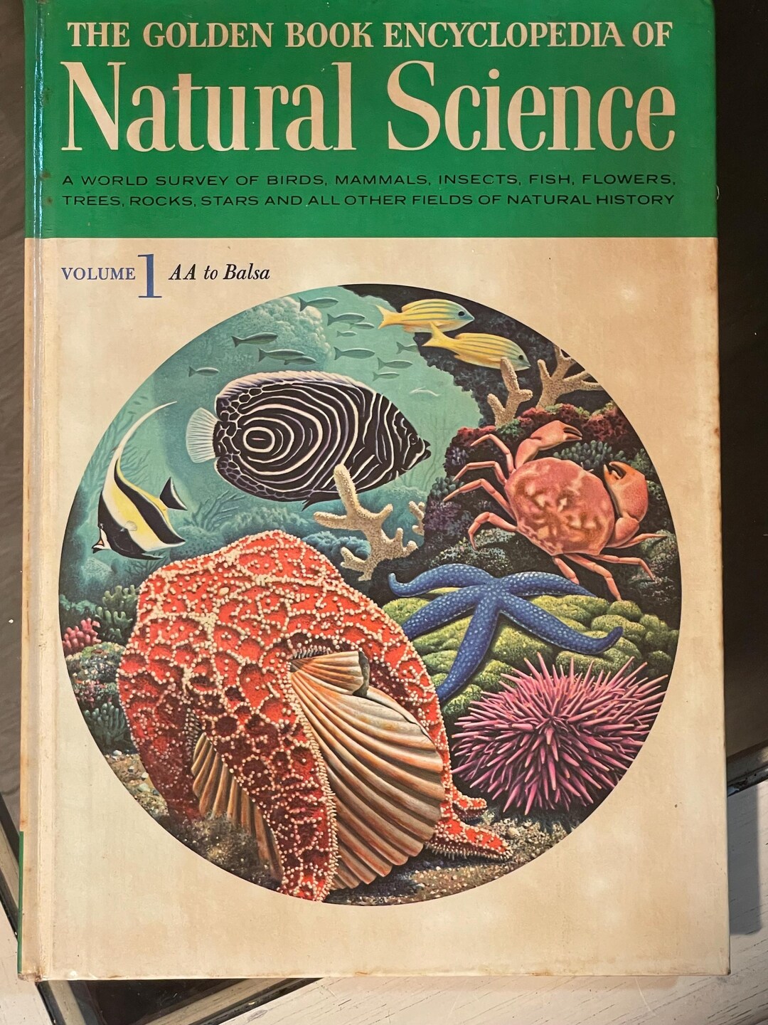 Vintage Book:the Golden Book Encyclopedia of Natural Science 1 - Etsy
