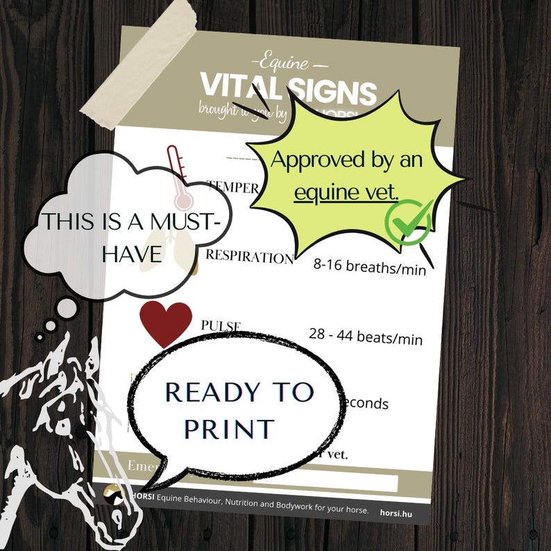 Horse Vital Signs Equine Vital Signs Horse Barn Horse Yard Horse Health ...