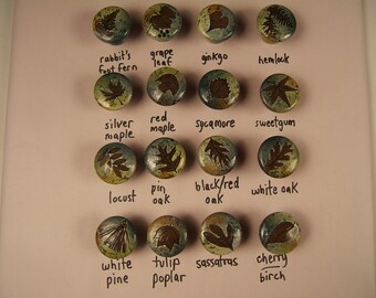 4 Leaf Cabinet Knobs Ceramic Handmade | Etsy