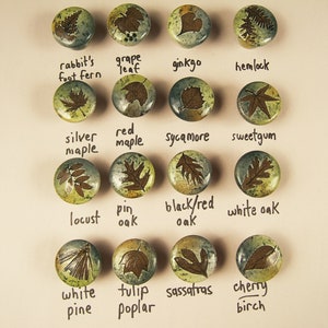 13 Leaf Cabinet Knobs Ceramic Handmade - Etsy