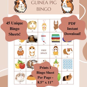 Bingo! With Guinea Pigs - Etsy
