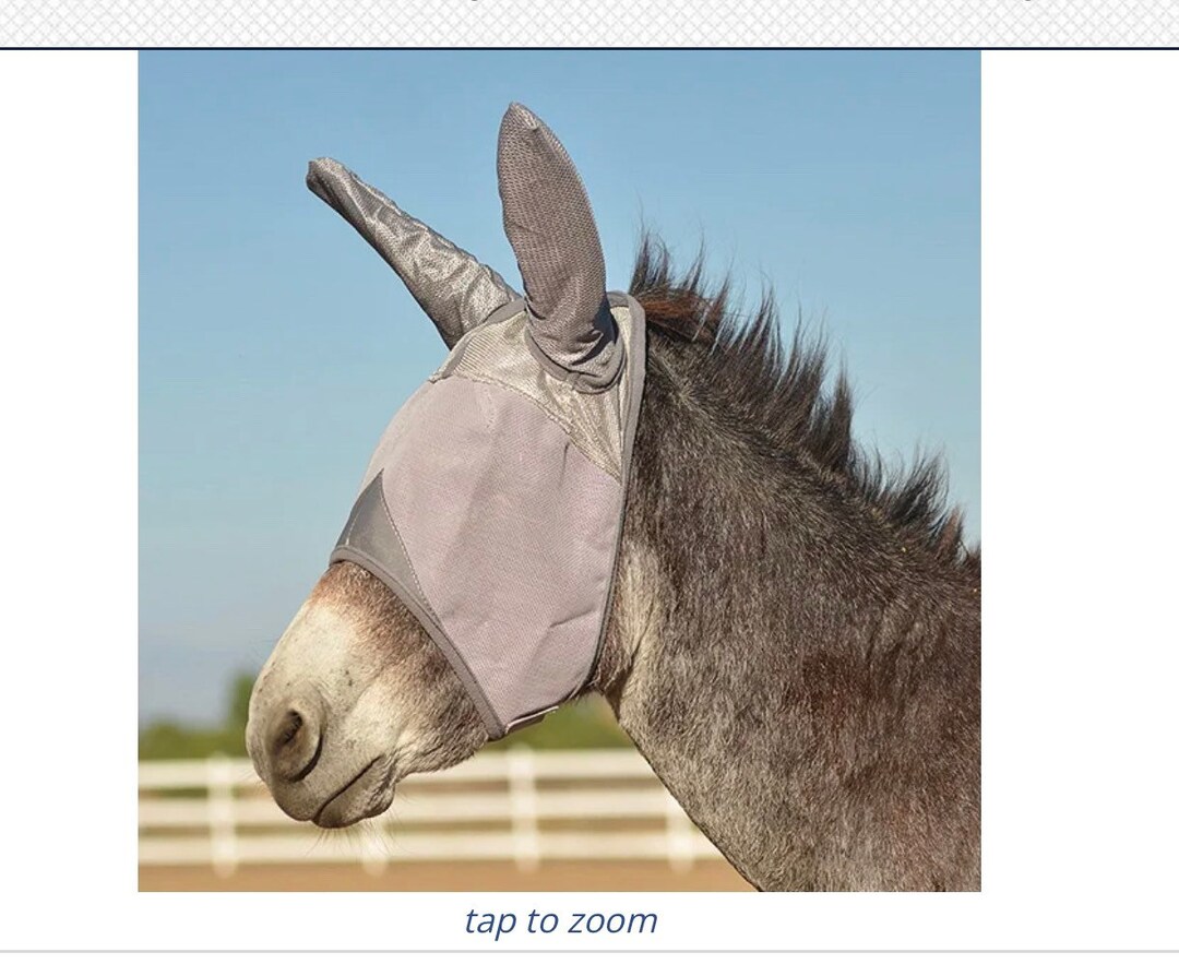 Personalized Cashel Fly Mask With Ears/donkey Ears - Etsy