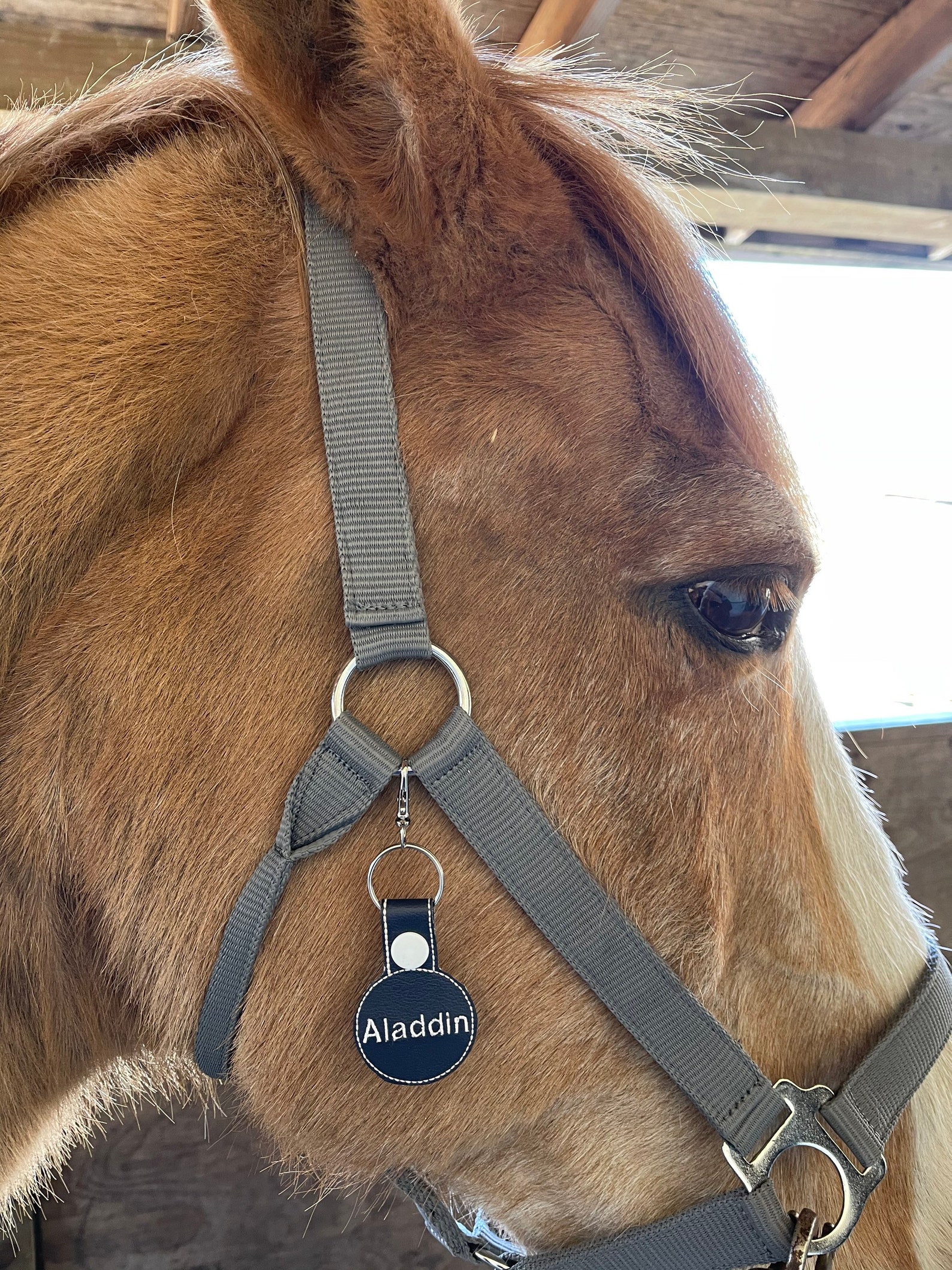 Horse-pet-halter-bridle-blanket Tag-personalized-tack-luggage-zipper ...