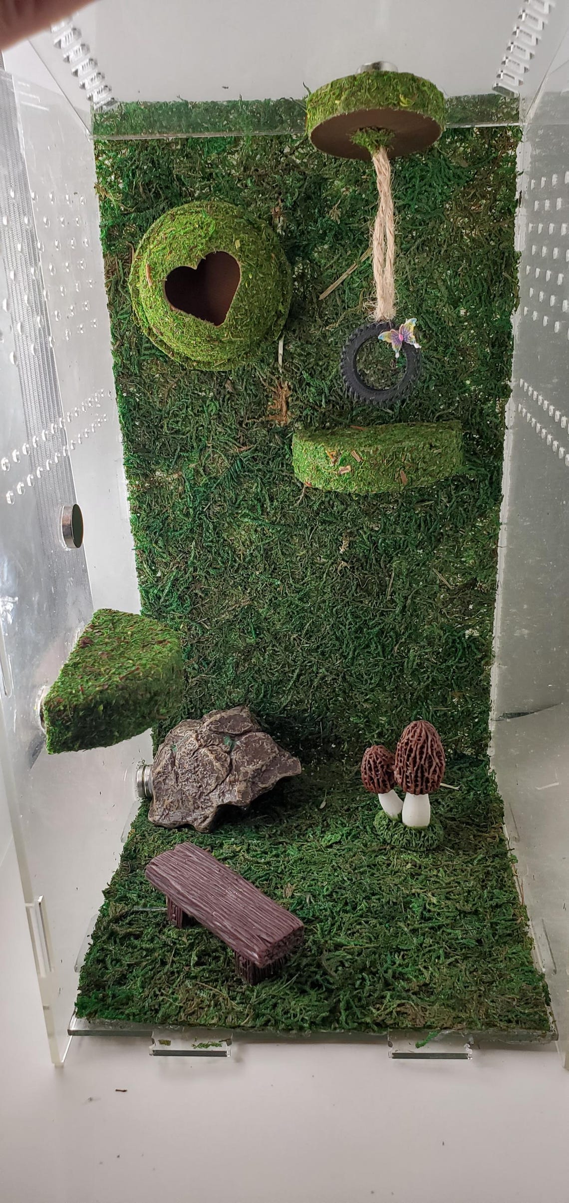 Jumping Spider Enclosure - Etsy