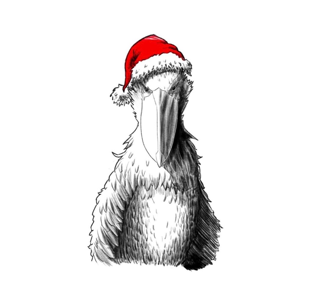 Santa Shoebill Stork Vinyl Sticker // Hand Drawn Sticker - Etsy