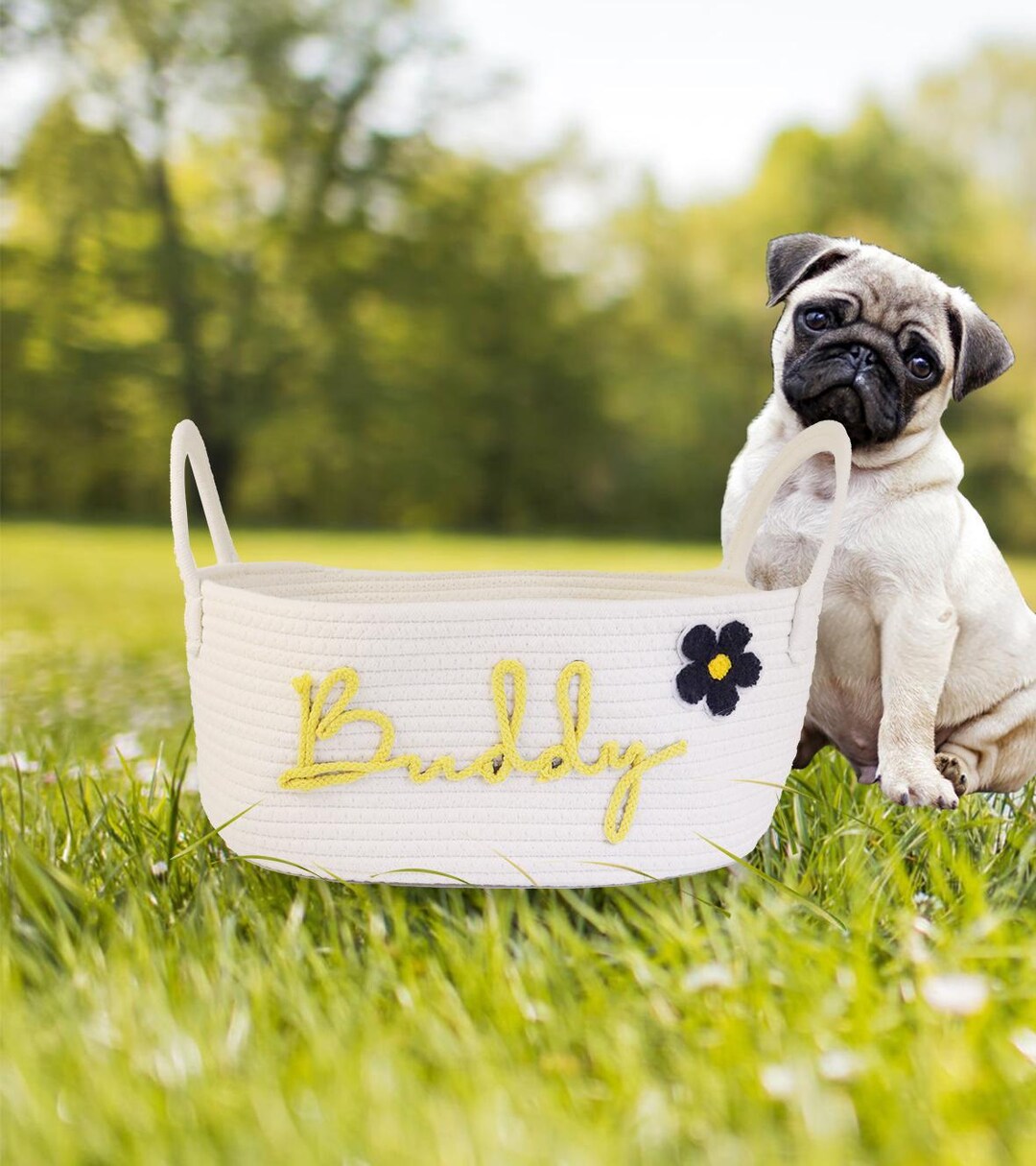 Personalized Toy Crate for Dog Custom Toy Basket Custom Name Treat Bin ...
