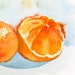 Tangerine Watercolor Still Life Art Print, Kitchen Wall Decor - Etsy
