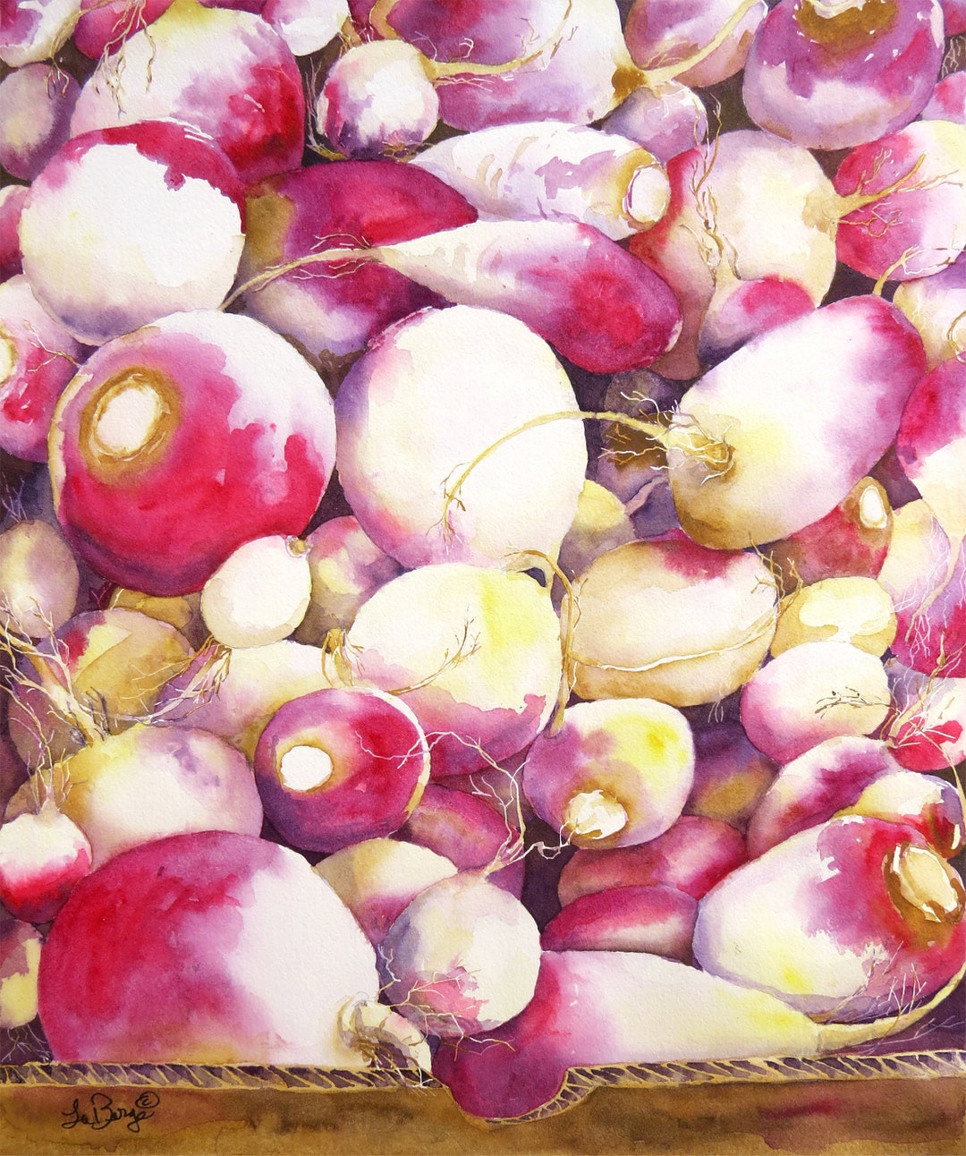 Turnip Watercolor Art Print, Farmhouse Kitchen Decor - Etsy