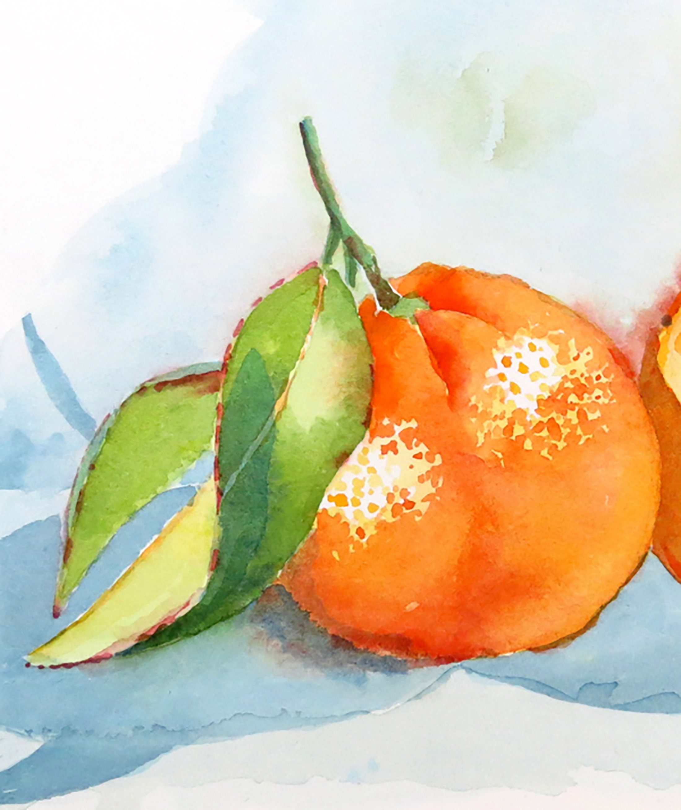 Tangerine Watercolor Still Life Art Print, Kitchen Wall Decor - Etsy