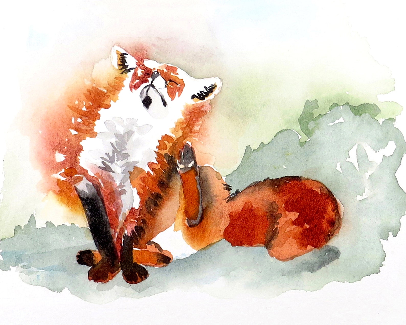 Fox Prints Wall Art Fox Art Prints Fox Watercolor Fox | Etsy