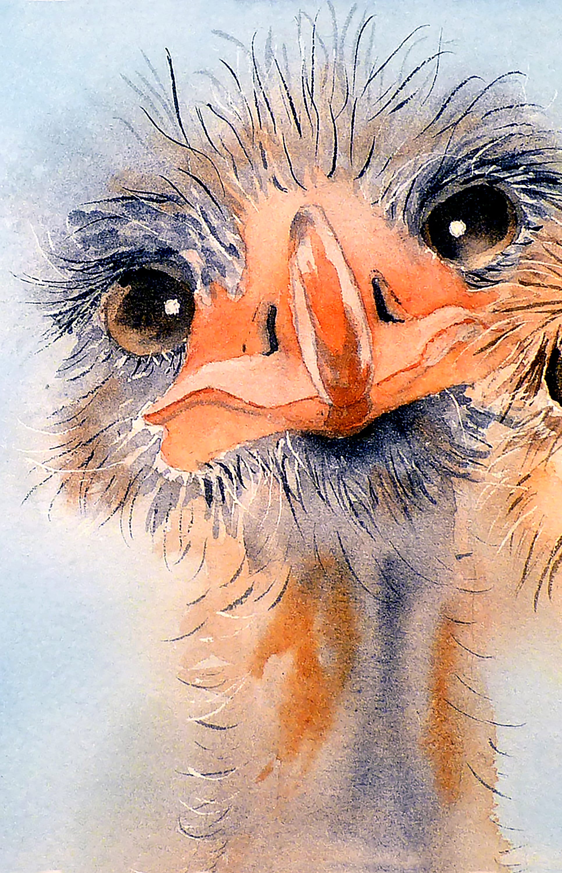 Goofy Ostrich Watercolor Art Print, Nursery Wall Decor - Etsy
