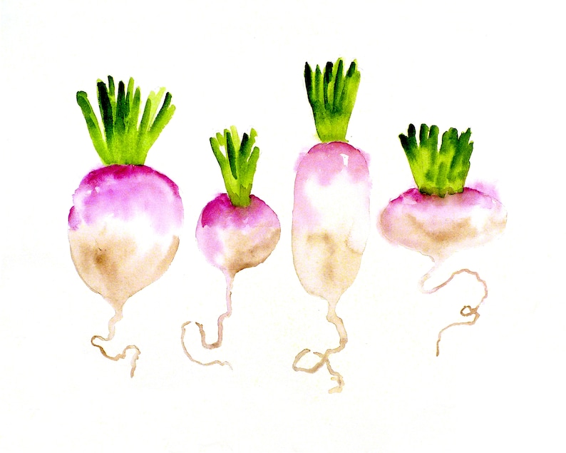 Art Print California Veggie Farm Cart Fresh Turnip Rootlets Painted ...
