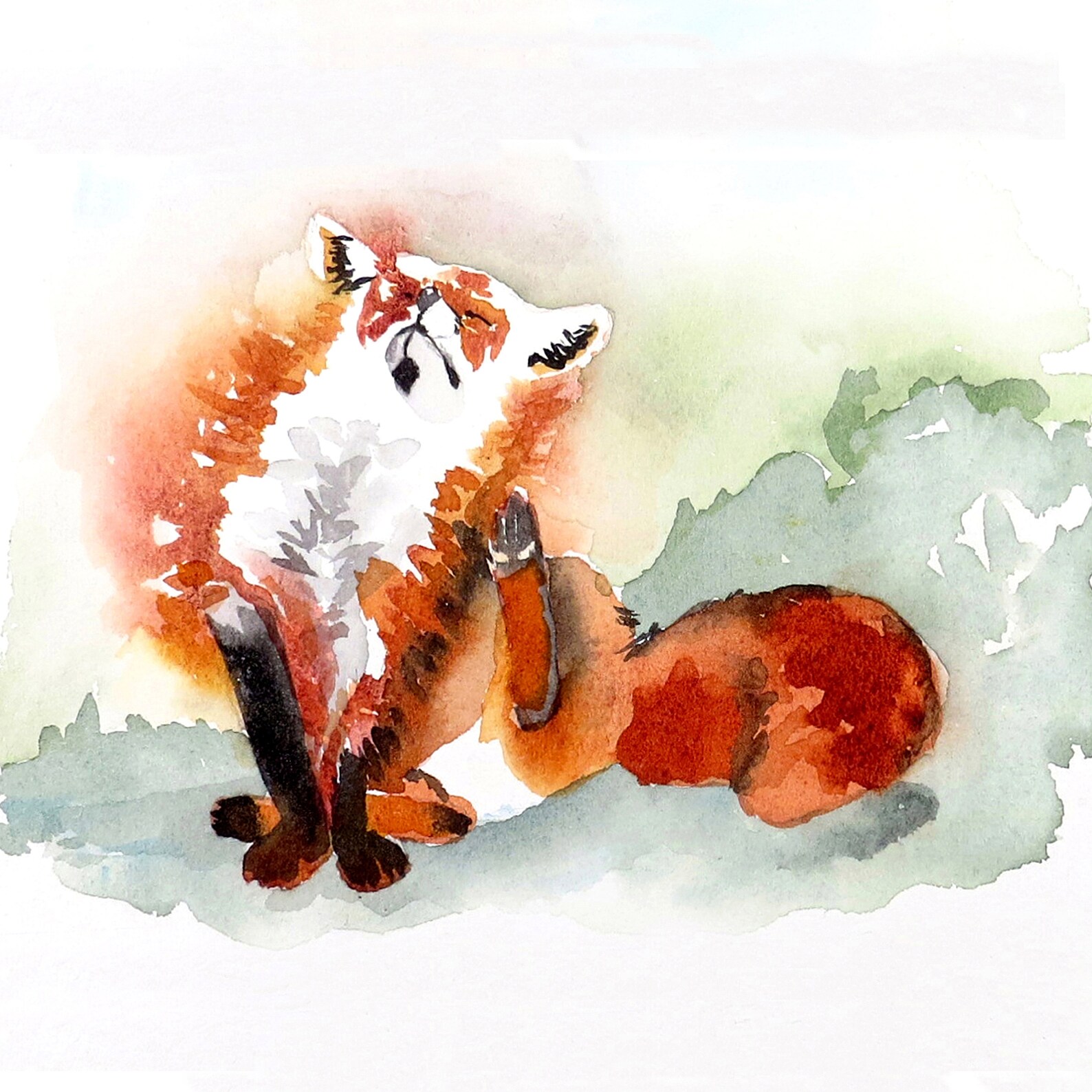 Fox Prints Wall Art Fox Art Prints Fox Watercolor Fox | Etsy