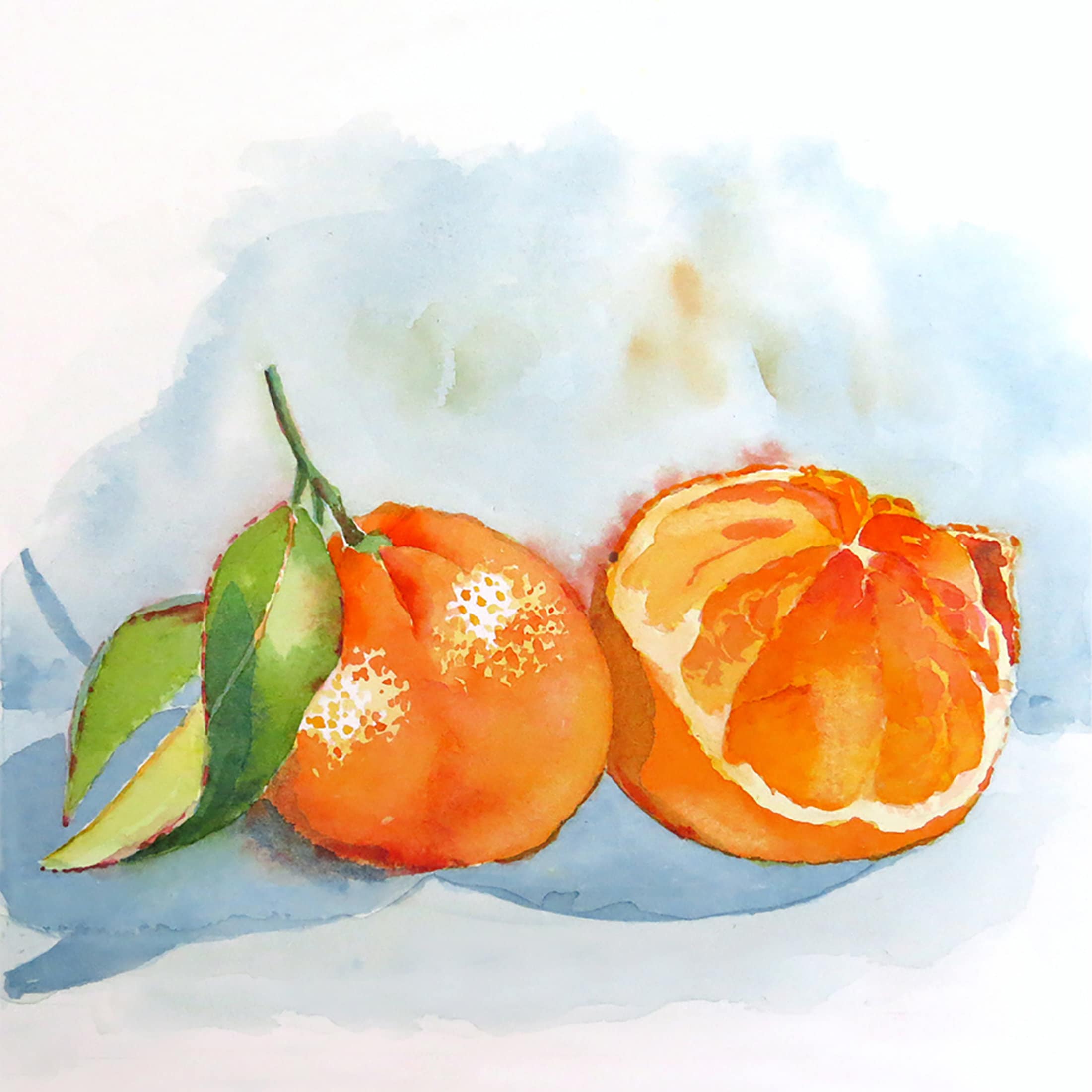Tangerine Watercolor Still Life Art Print, Kitchen Wall Decor - Etsy