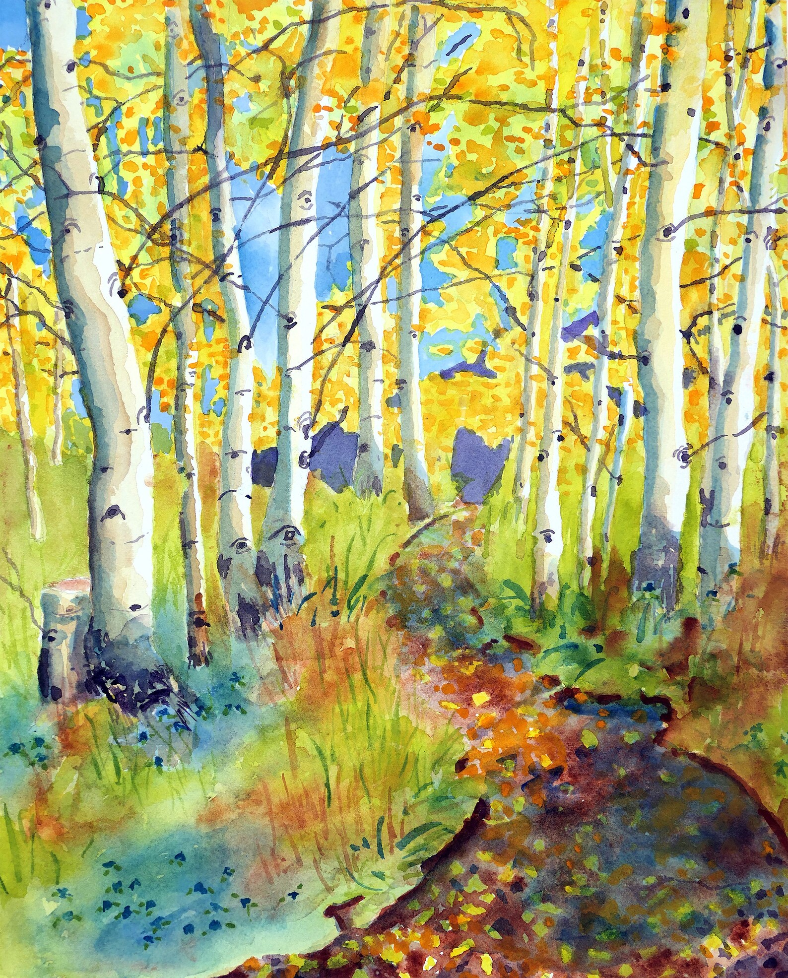 Aspen Trees: Watercolor Colorado Forest Landscape Art - 1126741668 - Etsy