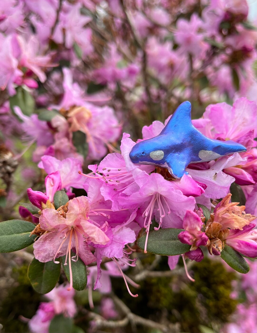Miniature ORCA | Adoptable Sea Creature Figurine | Toycore | Iridescent ...