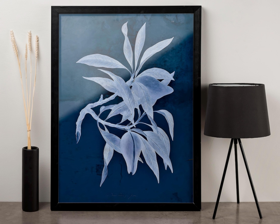 Anna Atkins Cyanotype Print: Vintage Botanical Wall Art - Etsy
