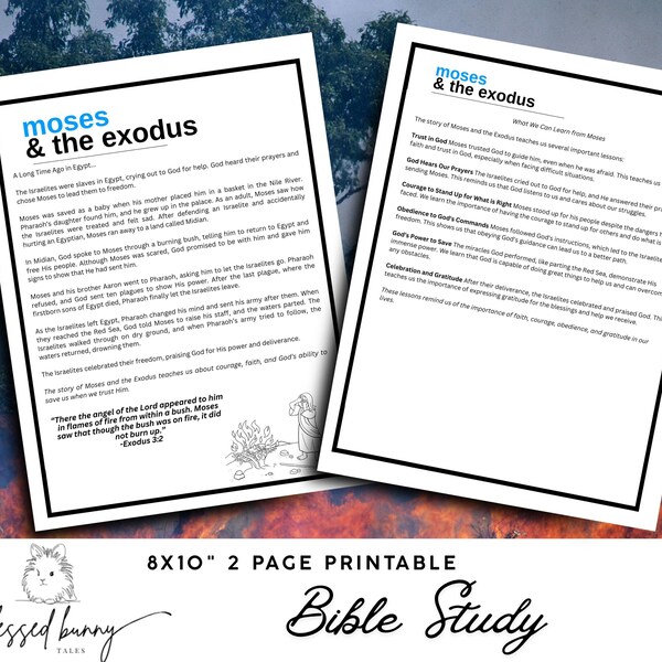 BlessedBunnyTales - Etsy