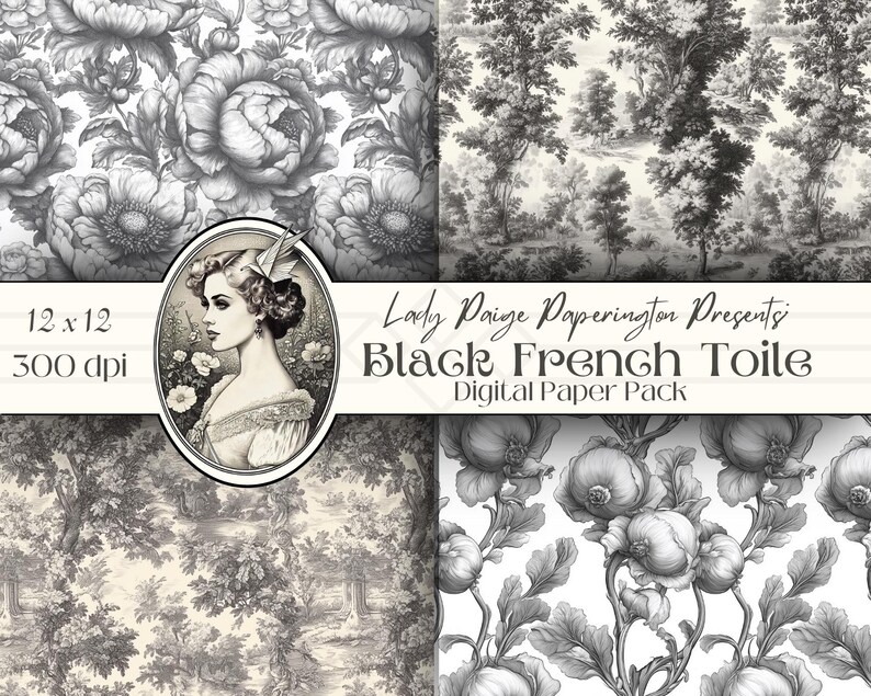 Vintage Black French Toile Digital Paper Pack – 20 Printable 12x12 ...