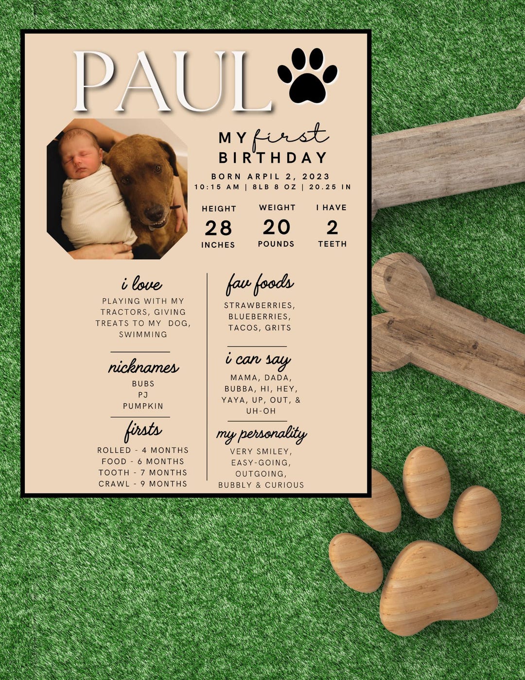 EDITABLE First Birthday Milestone Sign | Dog 1st Birthday Poster | One ...