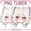 Crow Pngtuber | Crow | Cute Vtuber Model | Bird | Chibi | Twitch ...