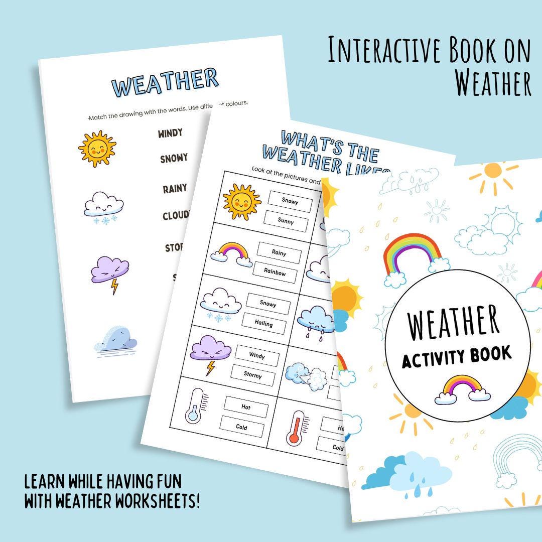 Weather Book, Weather Activity Book, Montessori Activity, Quiet Book ...