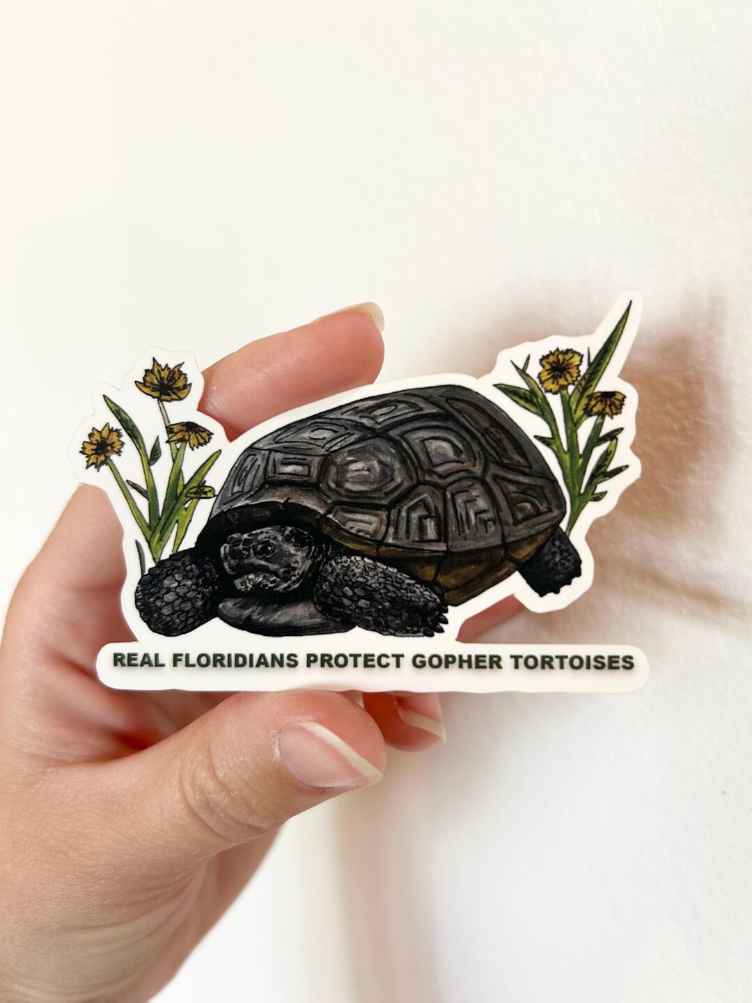 Gopher Tortoise Sticker - Etsy