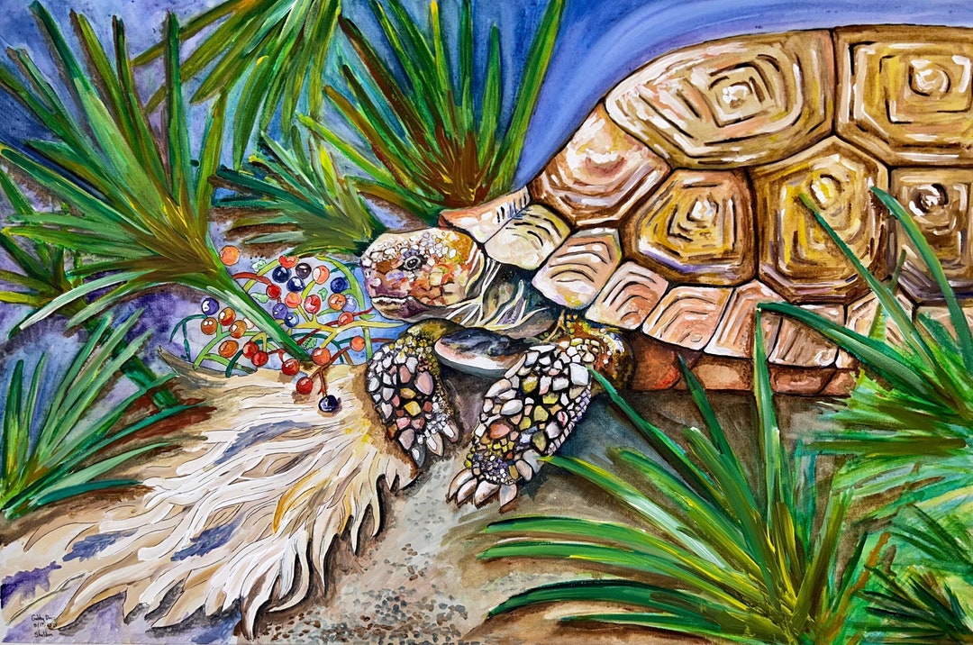Gopher Tortoise Painting - Etsy