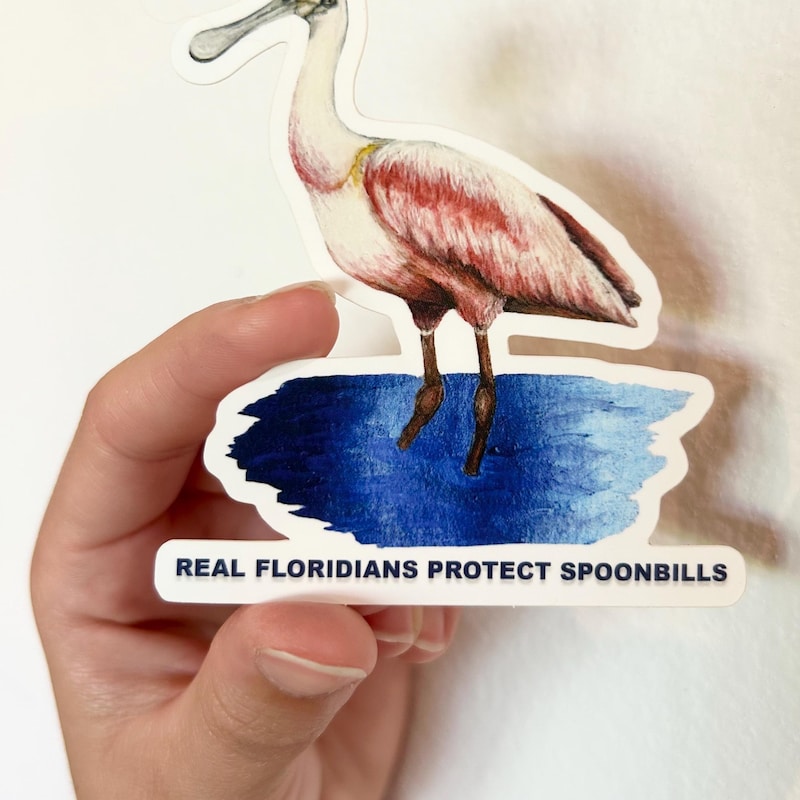 Roseate Spoonbill - Etsy