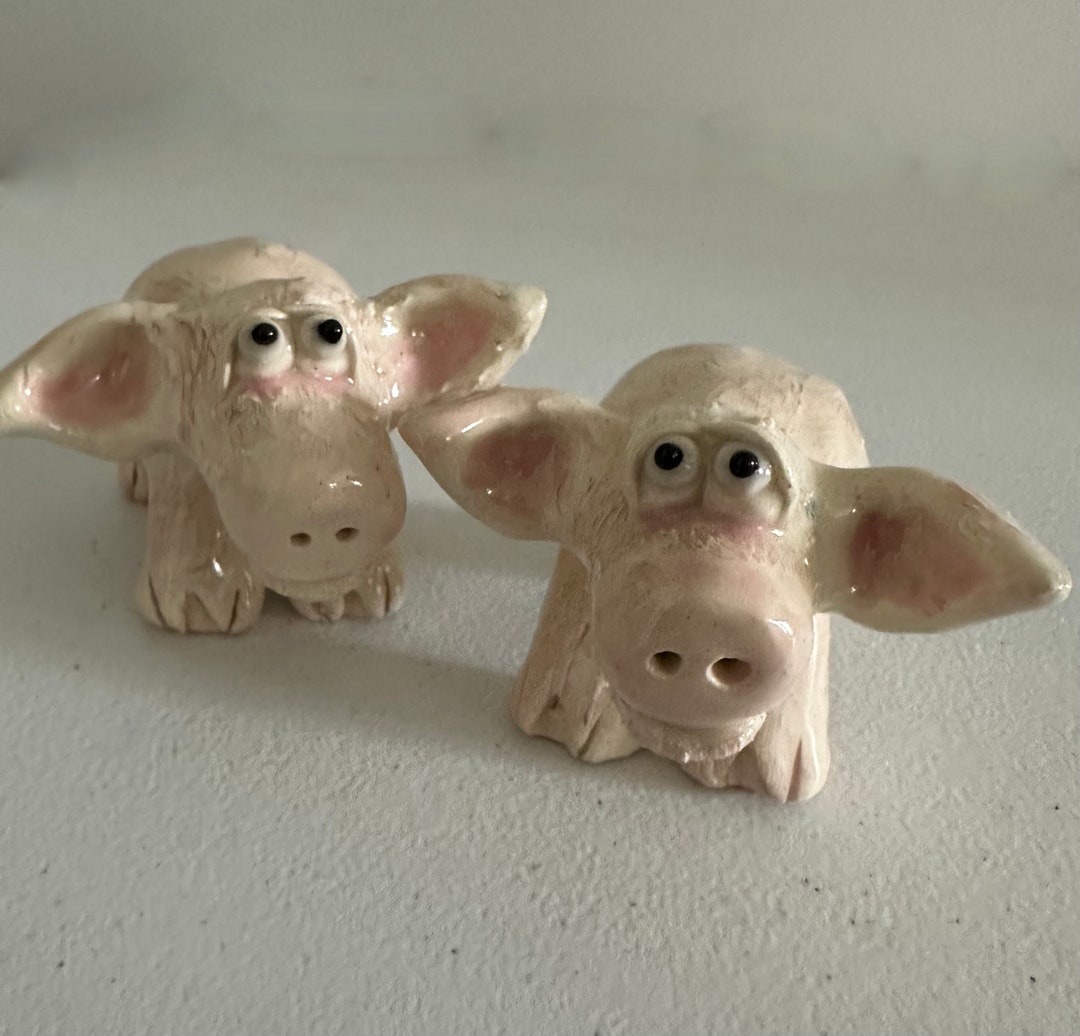 Handmade Ceramic Pig Salt and Pepper Shakers - Etsy