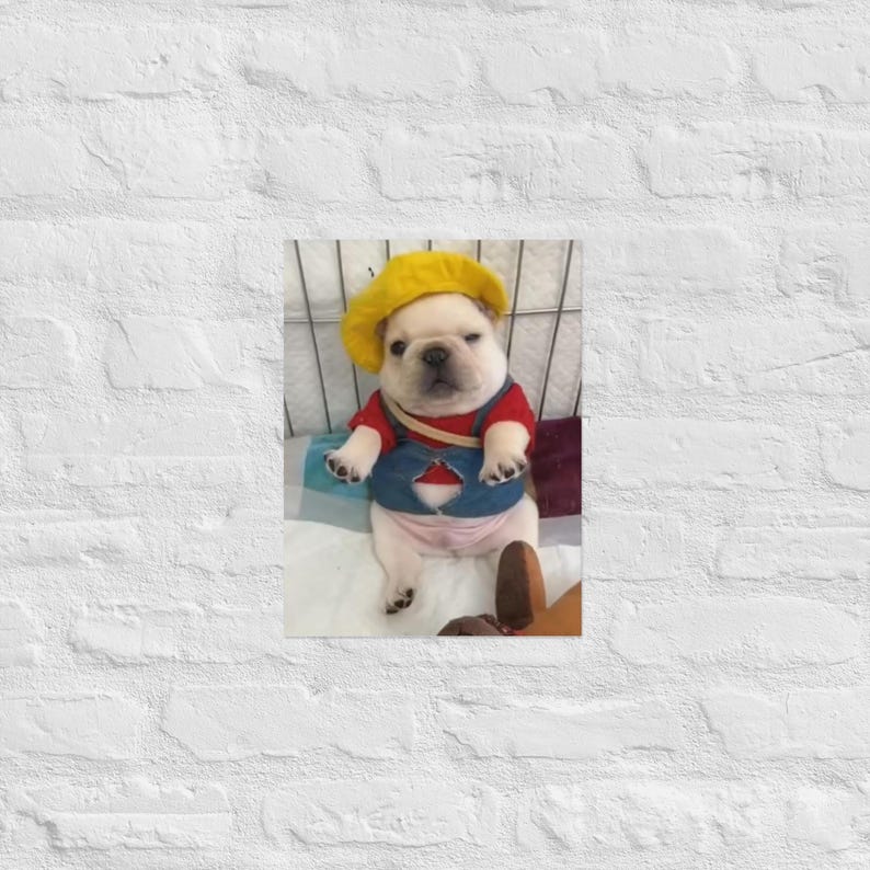 French Pibble Poster Meme Funny Dog Pit Bull Terrier - Etsy