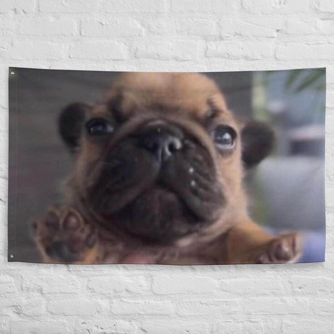 Pibble Tapestry Hanging Wall Art | Pitbull Funny Meme Tapestry Poster ...