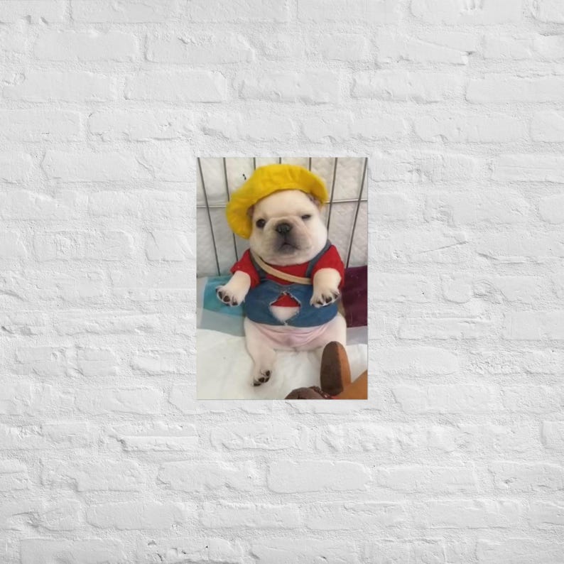 French Pibble Poster Meme Funny Dog Pit Bull Terrier - Etsy