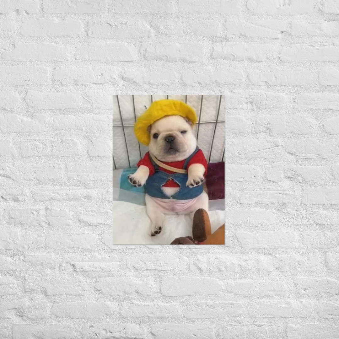 This item is unavailable - Etsy