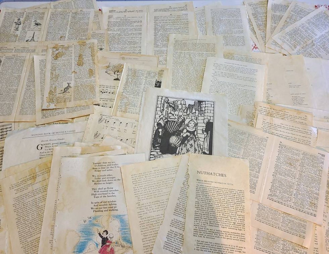 Tea Dyed Book Page Bundle 110 Pages Distressed Grungy Junk Journal ...