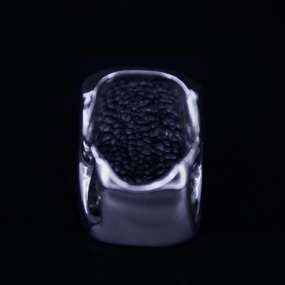 Akata: Slick Brutalist Hyena Ring – Bold Animal Themed Sterling Silver ...
