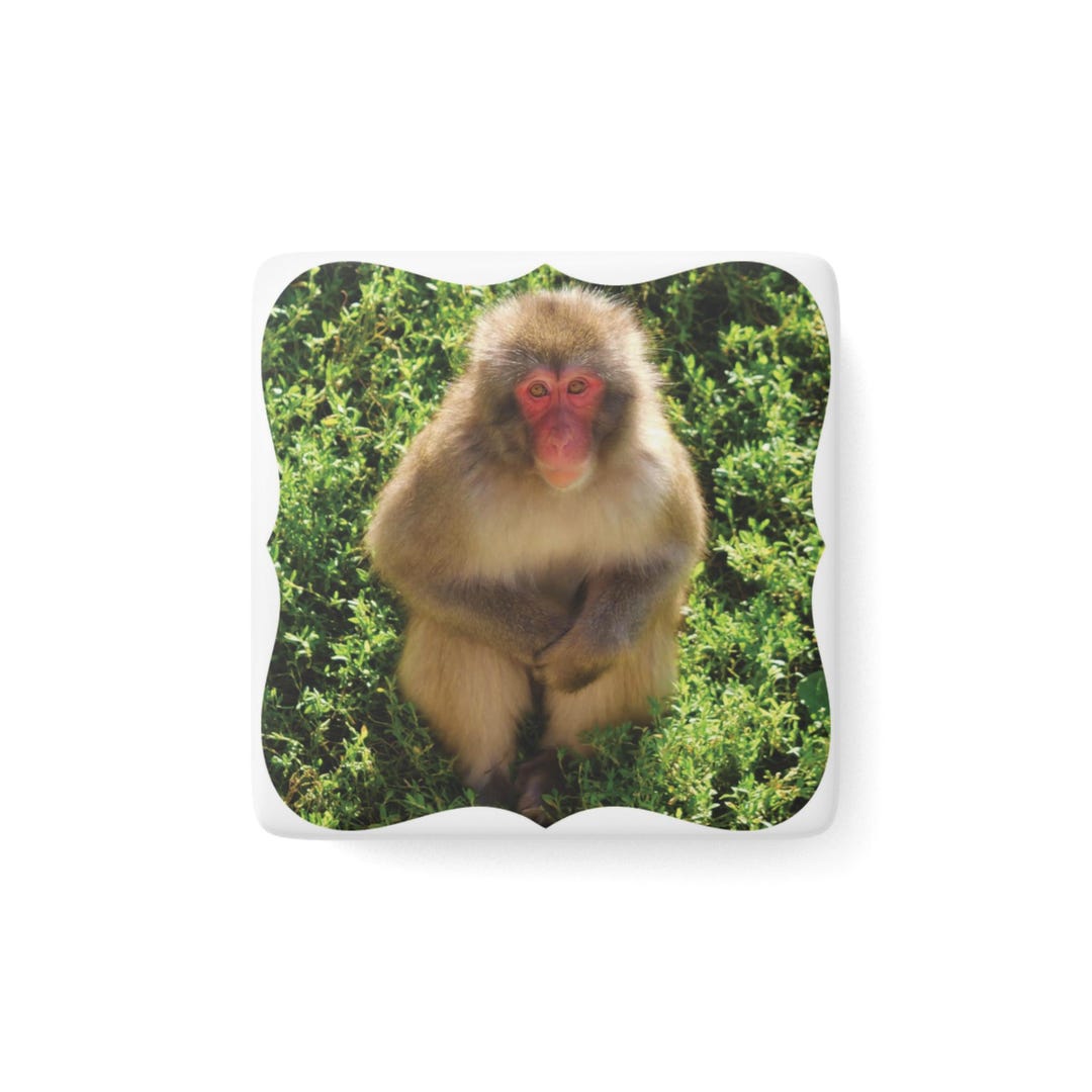 Snow Monkey Porcelain Magnet - Etsy