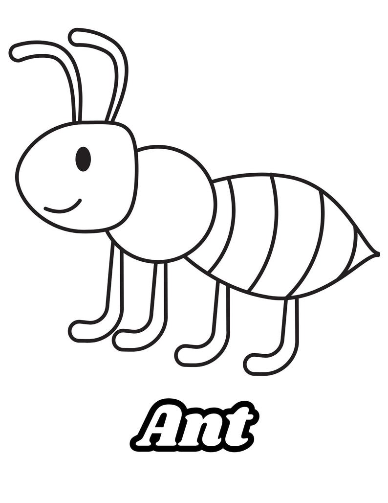 Bug/reptile Coloring Pages, Coloring Pages, Kids Entertainment, Digital ...