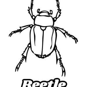 Bug/reptile Coloring Pages, Coloring Pages, Kids Entertainment, Digital ...