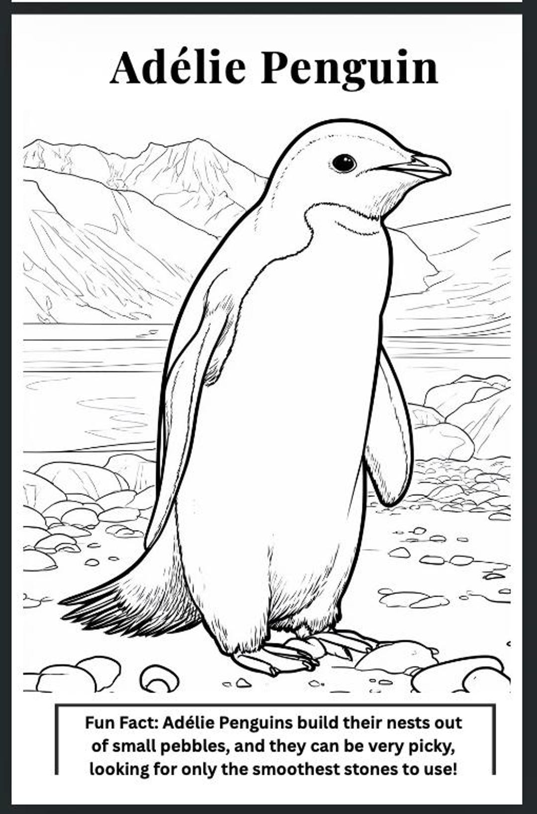 Printable Animal Coloring Book – Antarctica | Digital Download ...