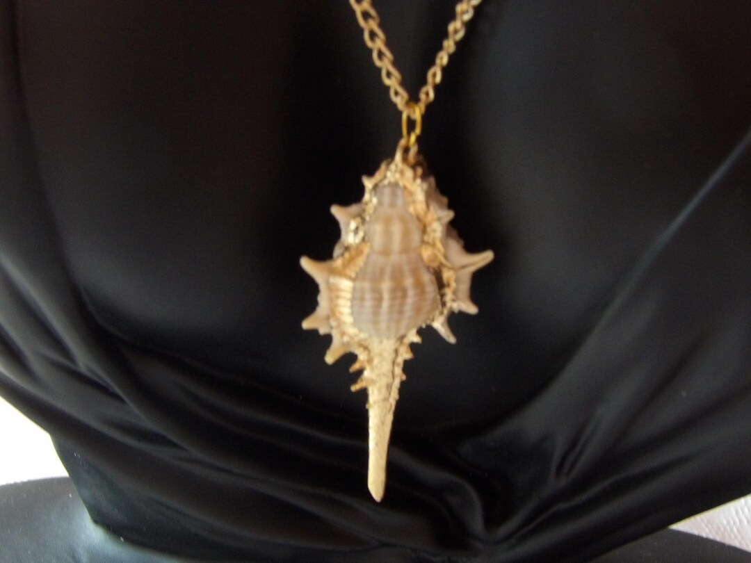 Conch Shell Pendant, Pendant With Gold Plated Finish. Decorated Conch ...