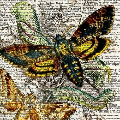 Vintage Book Print Death's Head Moth Upcycled Antique - Etsy UK