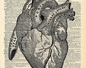 Vintage Book Art Print Anatomical Heart Art Upcycled Book - Etsy