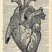 Vintage Book Art Print Anatomical Heart Art Upcycled Book | Etsy