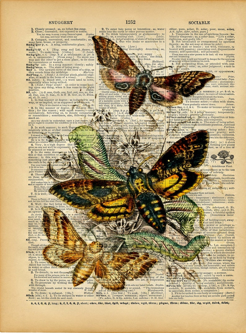 Vintage Book Print Death's Head Moth Upcycled Antique - Etsy UK
